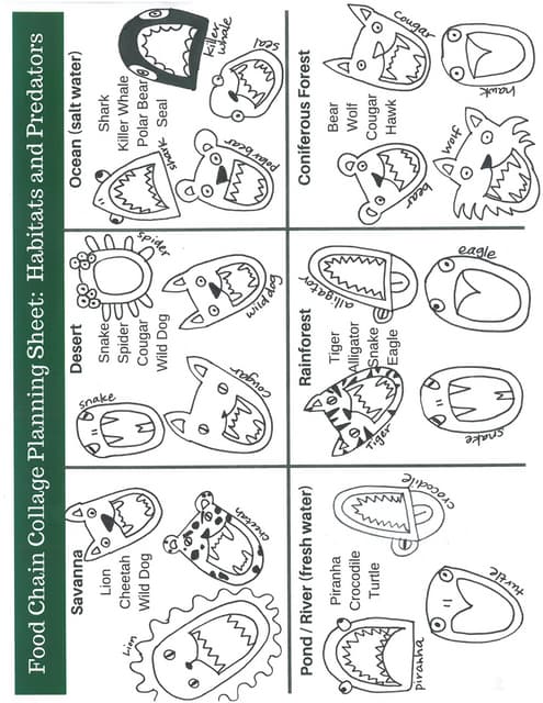 Ba 2.3 food chain rubric non reader rubric | PDF