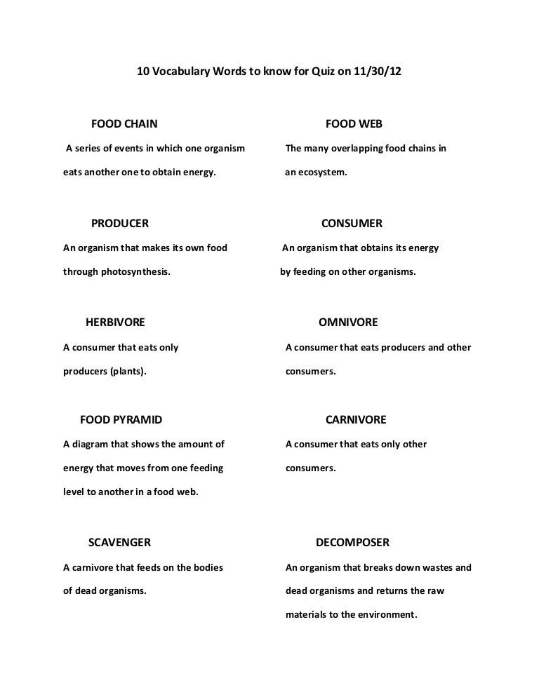food-chain-food-web-vocabulary-words