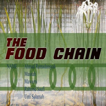 Food chain (english) | PPTX