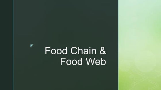 the food web and food chain | PPTX | Nutrition | Healthy Living