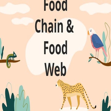 Food Chain & Food Web - This PowerPoint presentation discusses about ...