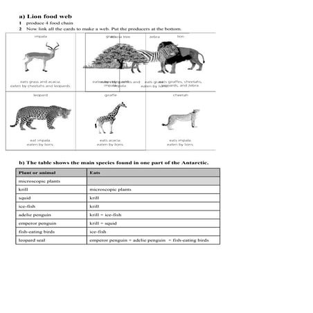 Food chain | PDF