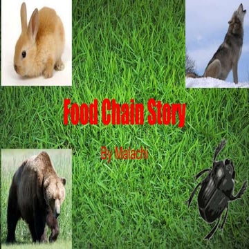 Food chain project | PPT