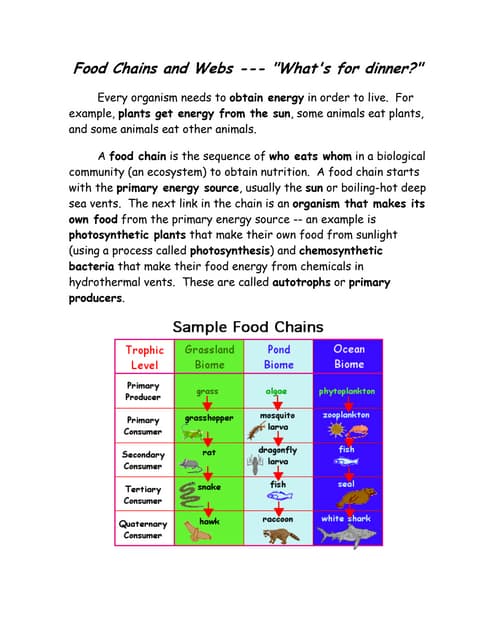 Food chains | PPT