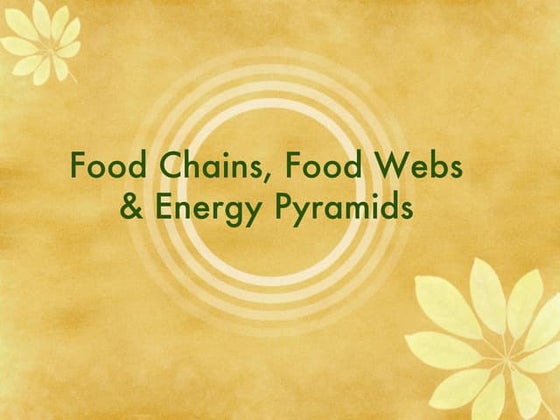 Food Chains and Food Webs | PPT | Biological Sciences | Science