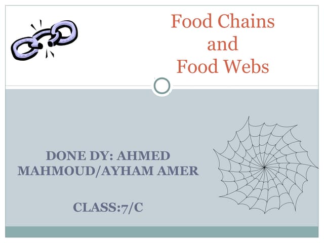 Food chains | PPT