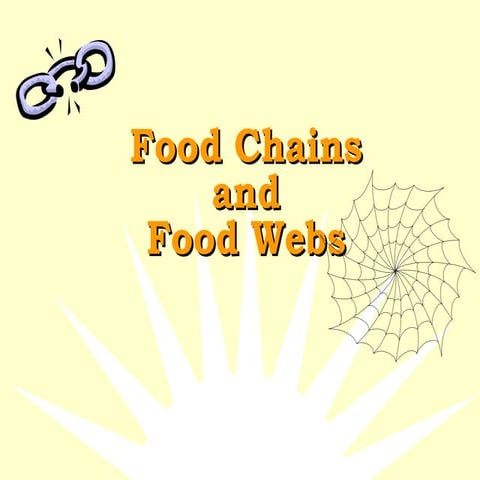 Food chain/Food web vocabulary words | DOCX