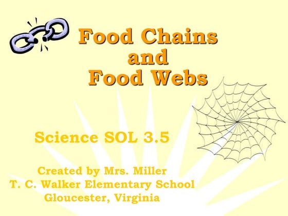 Food Chains and Food WEB | PPT