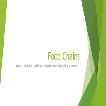 Food Chains and Food Webs Handout.pdf for grade 6 and 7 | PDF