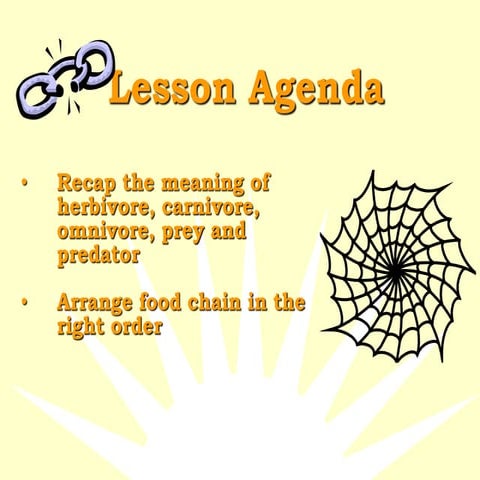 food chains and webs powerpoint.ppt
