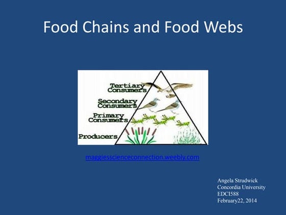 Food Webs ppt.pdf