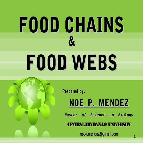 Food Chains and Food Webs (by: NPMendez) | PPT