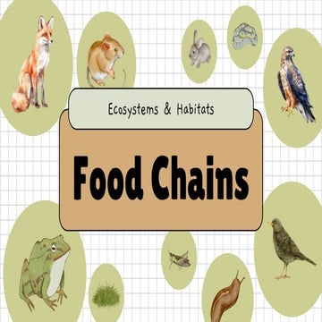 Lesson 5 food chains vb | PPTX