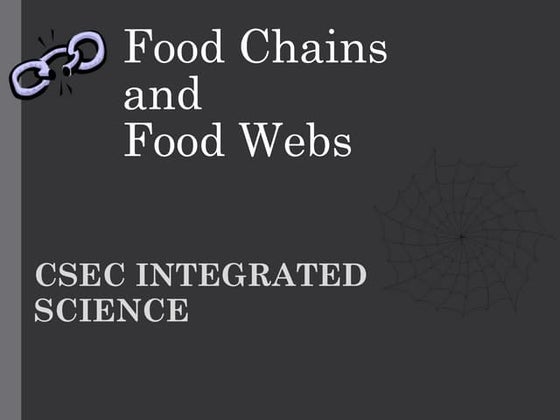 Food Chains and Food WEB | PPTX
