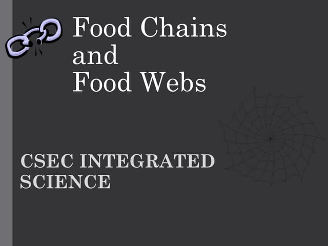 Food Chains and Food Webs Handout.pdf for grade 6 and 7 | PDF