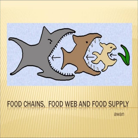 Grade 10 - Food chains, Food web and Food supply | PPT