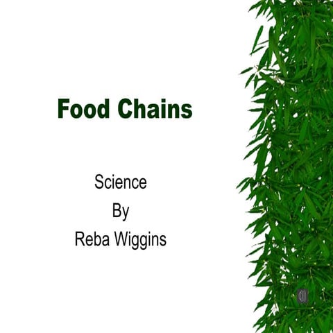 Food chains (science) | PPT