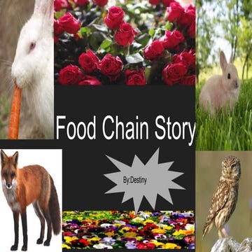 Food Chain Story | PPTX