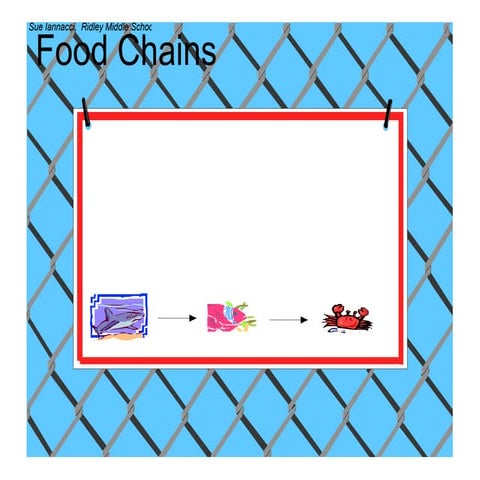 Food Chains & Webs | PPT