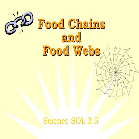 Foodchainswebs | PPT