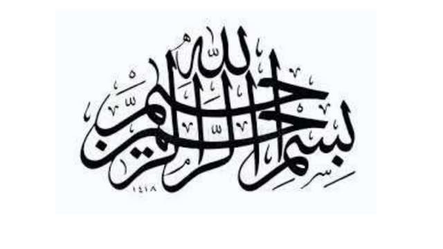 quality of protein , Net Protein utilisation | PPTX | Chemistry | Science