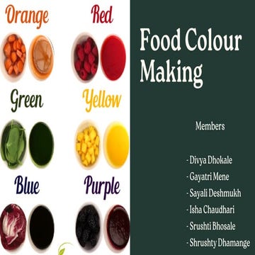 Chemical Engineering Prototyping Food Color Making | PDF