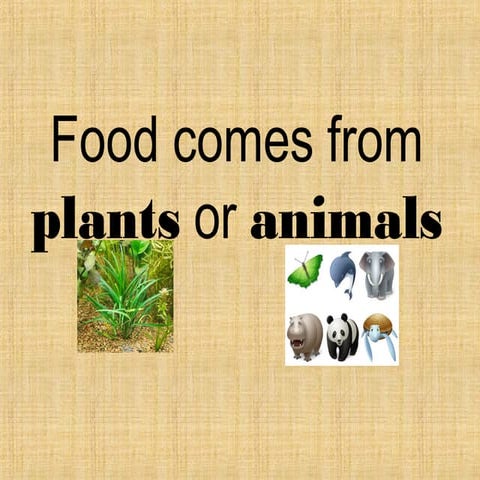 Food comes from plants or animals | PPT