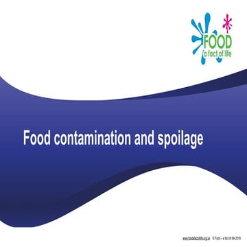 Food Micro_Food Contamination and Spoilage.pptx