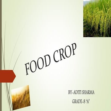 Food crop | PPTX