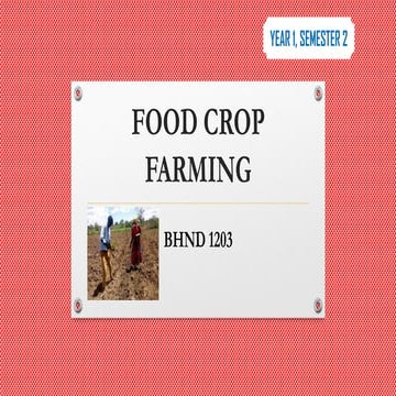 FOOD CROP FARMING presntation slies 2021.pdf
