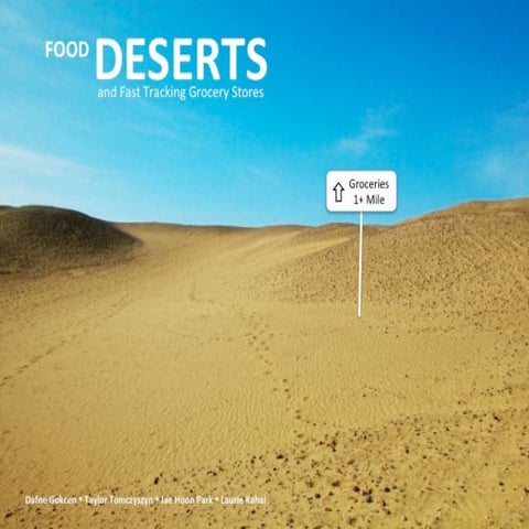 Food Deserts and Fast Tracking Grocery Stores | PDF