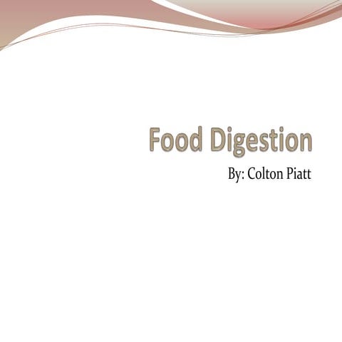 Food digestion | PPTX