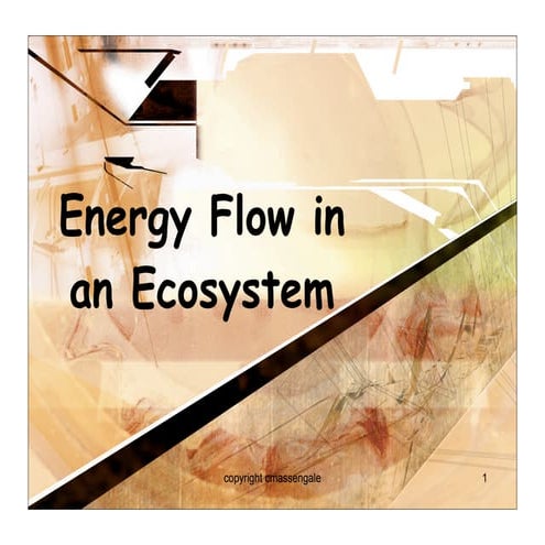 Food Energy Through Ecosystems | PDF | Chemistry | Science