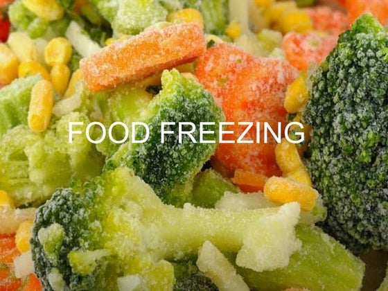 Food preservation freezing | PPT
