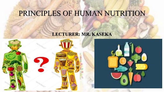 The 5 food groups powerpoint | PPTX