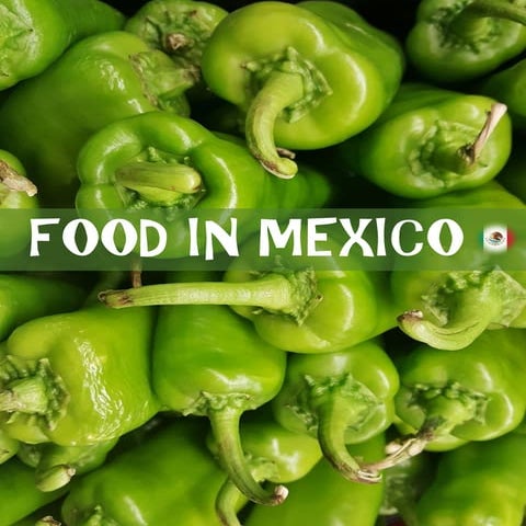 Food in mexico | PDF