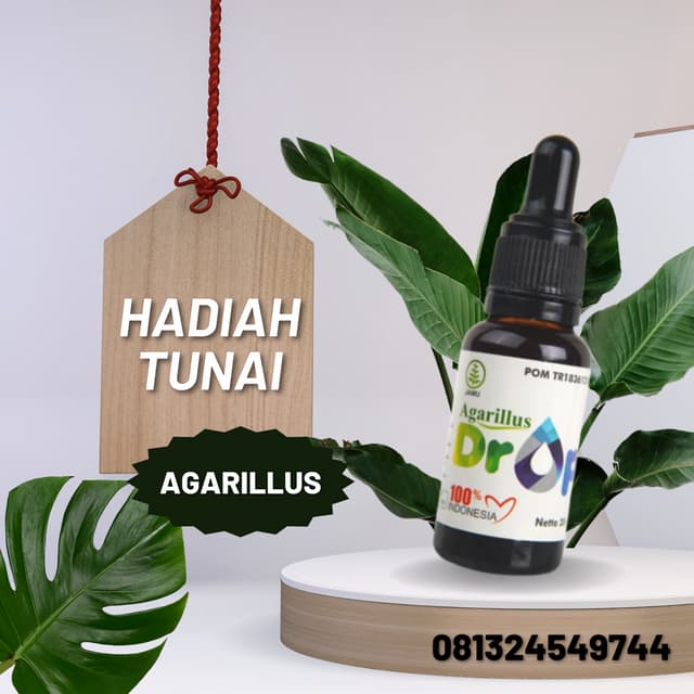 TERKEMUKA, Call 0813-2754-9744, Grosir Suplemen Untuk Tulang Dan Sendi ...