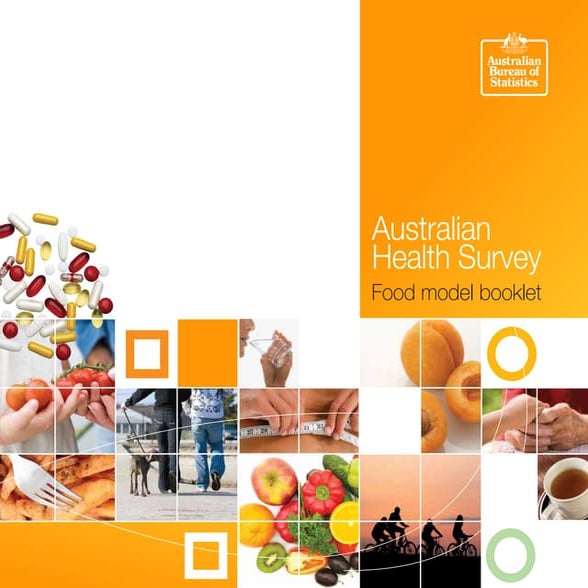 FOOD MODEL BOOKLET.pdf