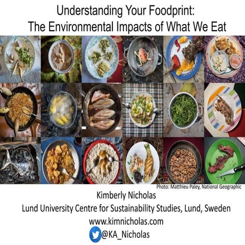 Understanding Your Foodprint: The Environmental Impacts of What We Eat ...