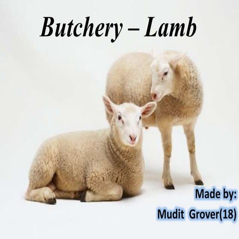 Butchery – Lamb | PPT