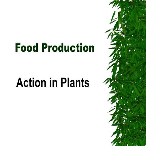 Food Production & The Environment | PPT