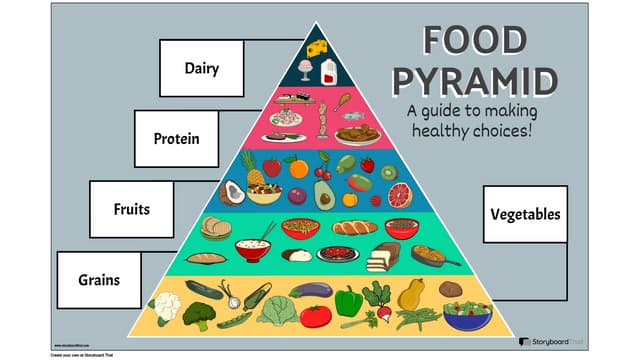 3 pangkat ng pagkain | PDF