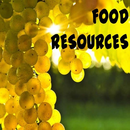 Food Resources | PPTX