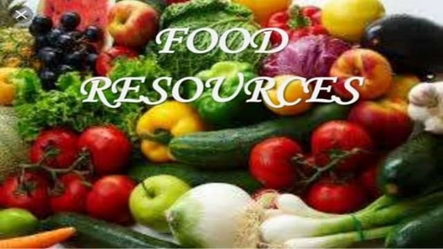Food Resources (Environmental Science) | PPTX