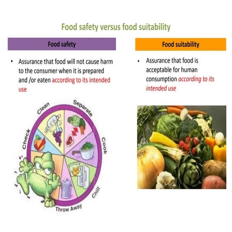 Food Safety and Hazards.pdf | Food Allergies | Food & Drink