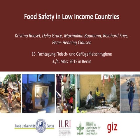 Food safety in low income countries | PDF