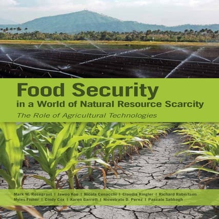 Food security | PDF
