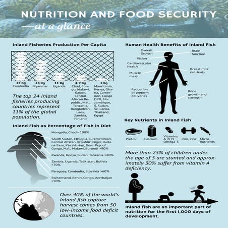 Inland fish and food security | PDF