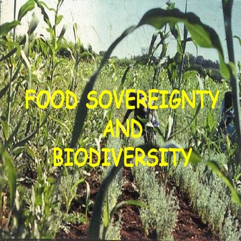 Food sovereignty, biodiversity, july 27, 2005 | PPT | Free Download