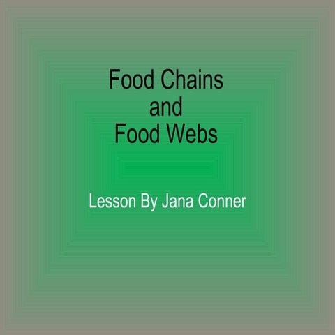 Food Chains and Food Webs (PowerPoint) | PPT
